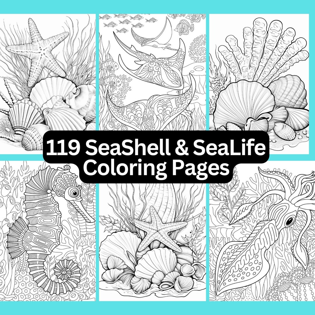 119 Seashell Sealife Coloring Pages, Printable, Instant Digital ...