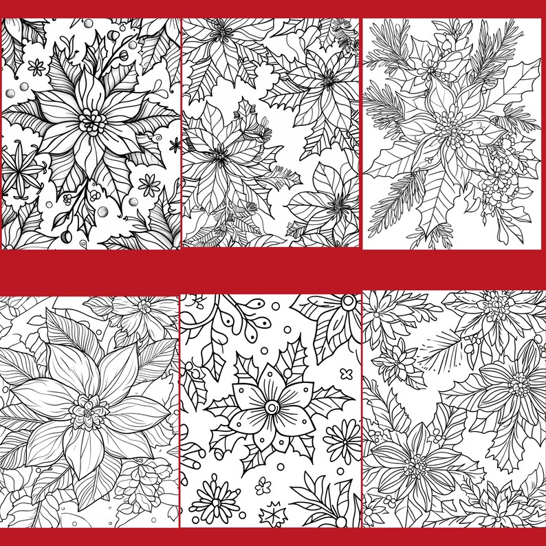 136 Poinsettia Flowers Coloring Pages, Printable, Instant Digital ...