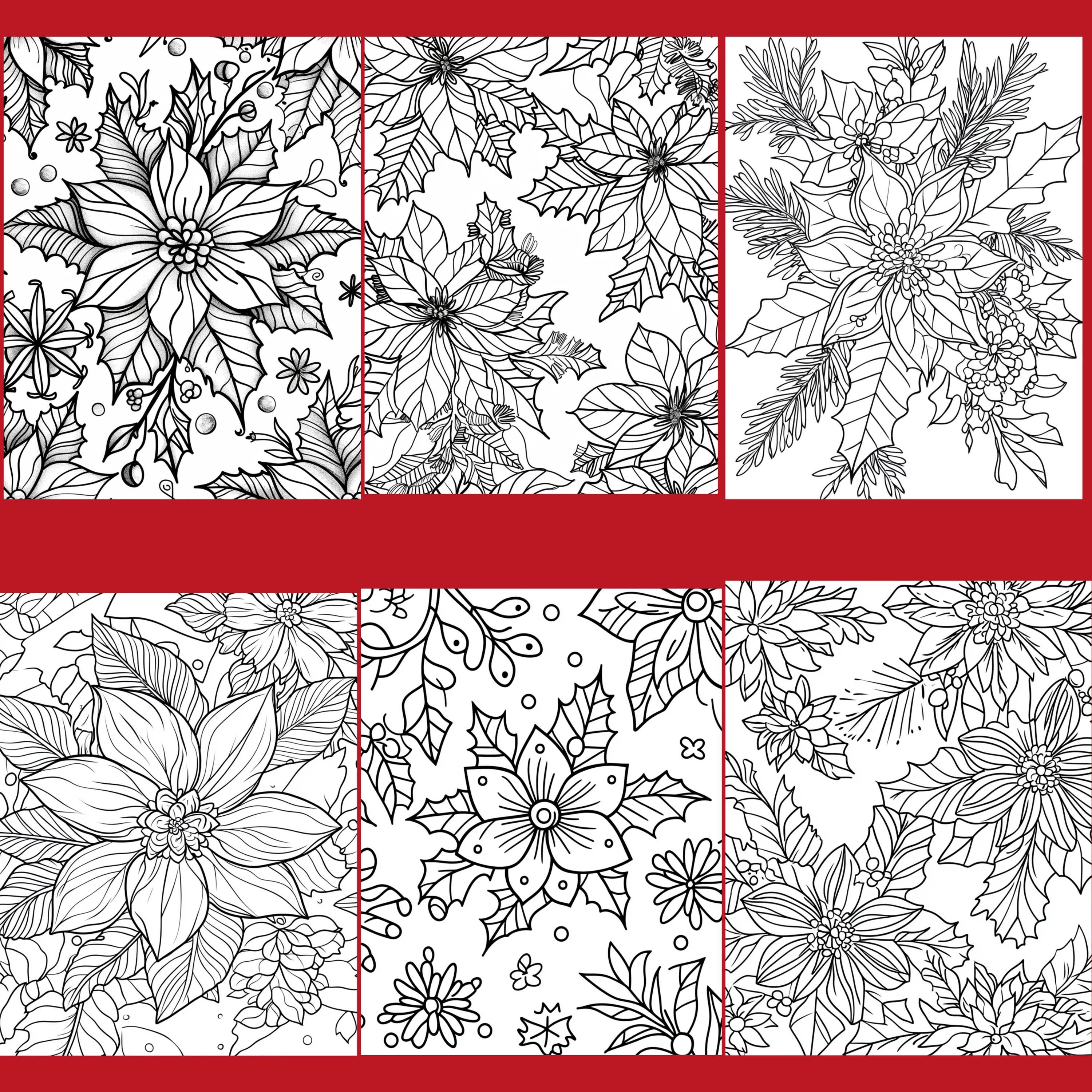 136 Poinsettia Flowers Coloring Pages, Printable, Instant Digital ...