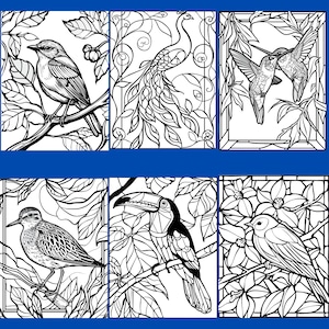 300+ Stained Glass Birds Coloring Pages, Printable (digital Download ...
