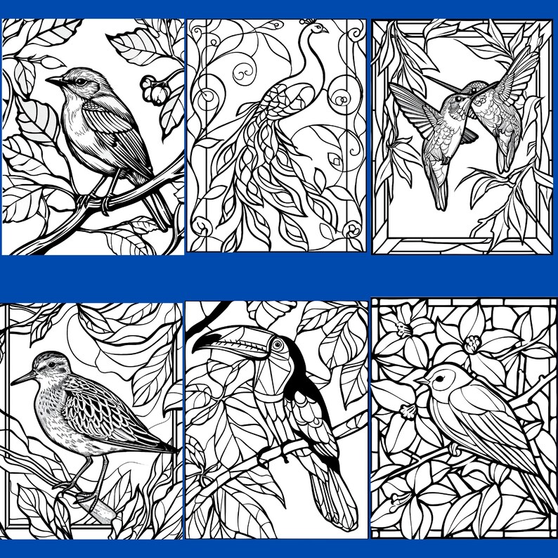 300+ Stained Glass Birds Coloring Pages, Printable (digital Download ...