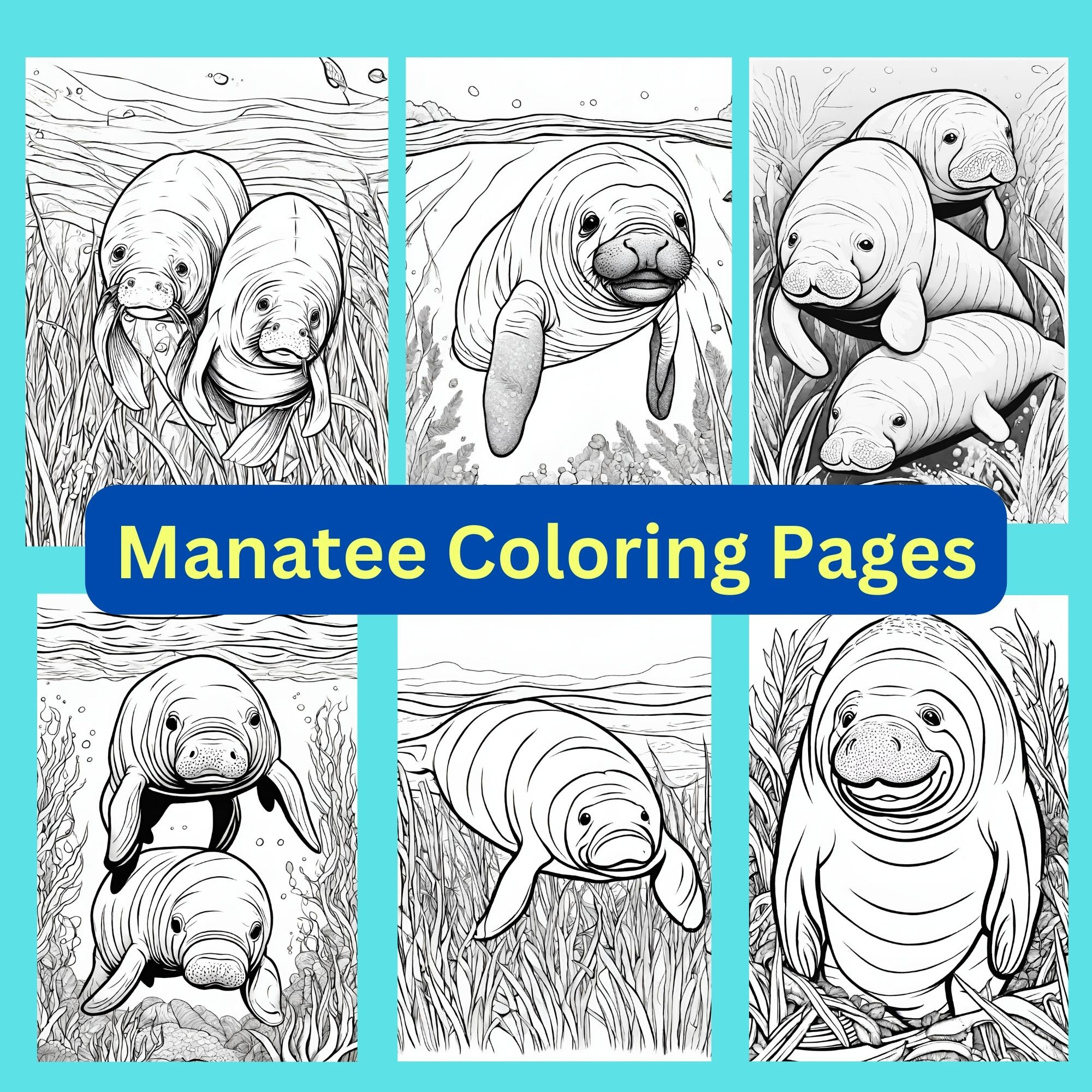 21 Manatee Coloring Pages, Printable, Instant Download, Stress Relief ...
