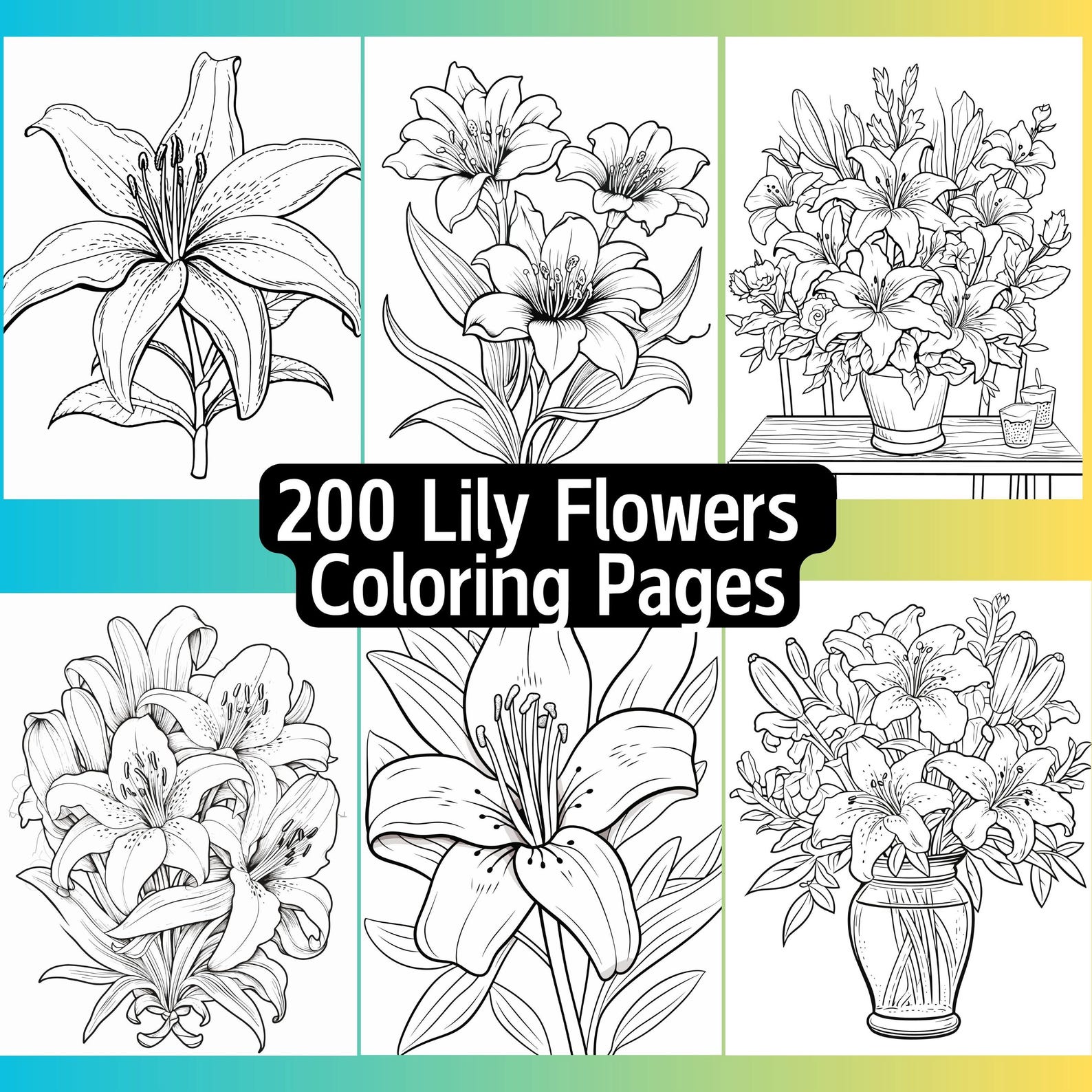 200 Lily Flowers Coloring Pages, Printable, Instant Download, Adult ...