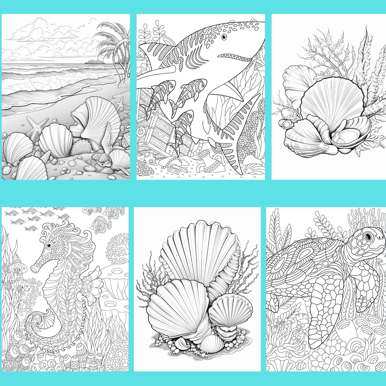 119 Seashell Sealife Coloring Pages, Printable, Instant Digital ...