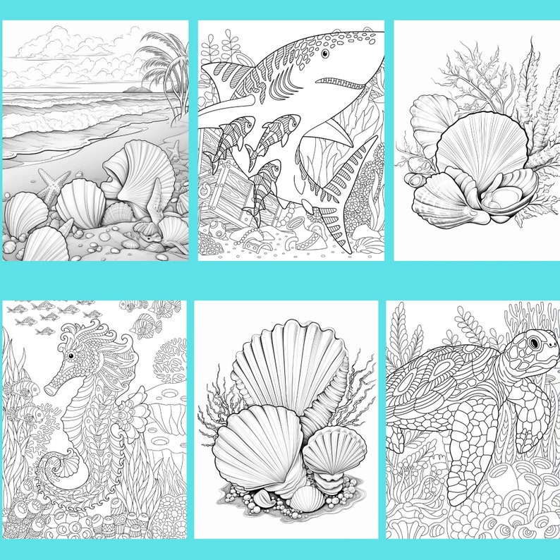 119 Seashell Sealife Coloring Pages, Printable, Instant Digital ...