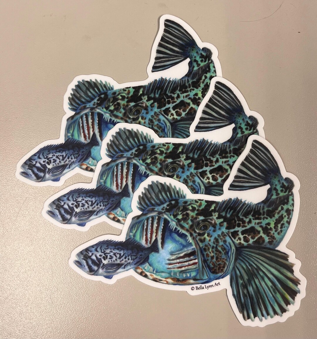 Blue Lingcod Sticker - Etsy