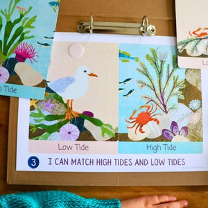 Rockpool Busybook Ocean Printable Quiet Books Toddler Activities ...