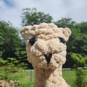 Fingerknit Camel Plushie Pattern With Video Tutorial Chunky Knit Camel ...
