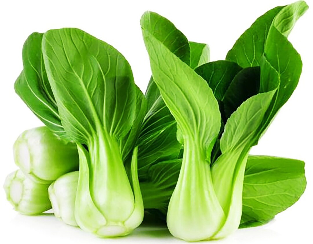 3000 Seeds Chinese Cabbage / Brassica Rapa Chinensis GMO Free - Etsy