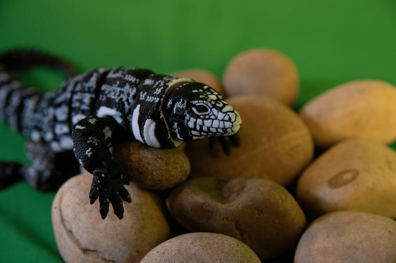 Ultra Realistic Articulated Tegu Monitor - Etsy