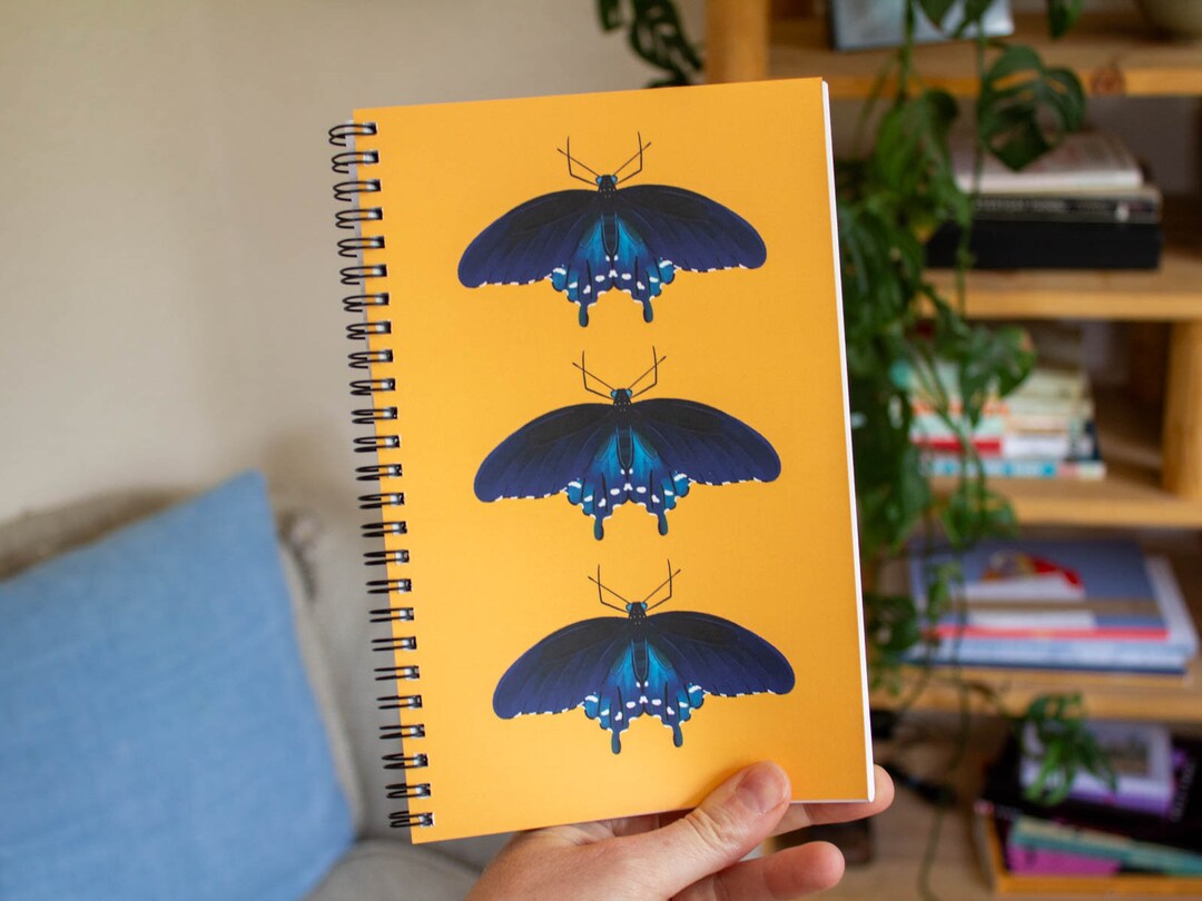 Pipevine Swallowtail Blue Butterfly Notebook - Etsy