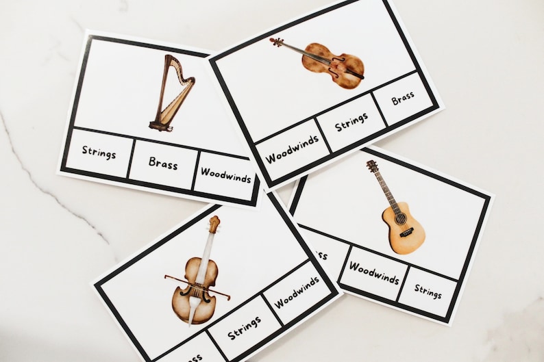 Tarjetas didácticas de la familia de instrumentos - Etsy México