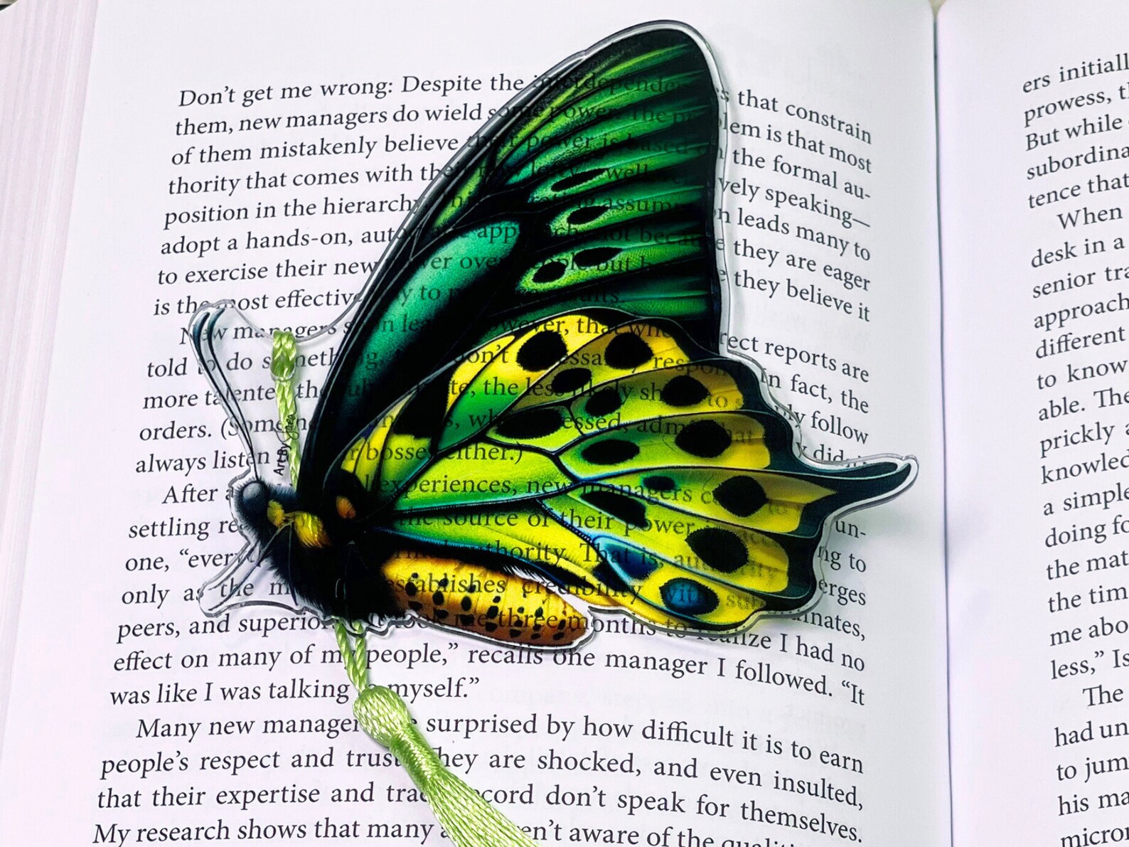 Green Translucent Acrylic Butterfly Bookmark, Artist Bookmark, Book ...