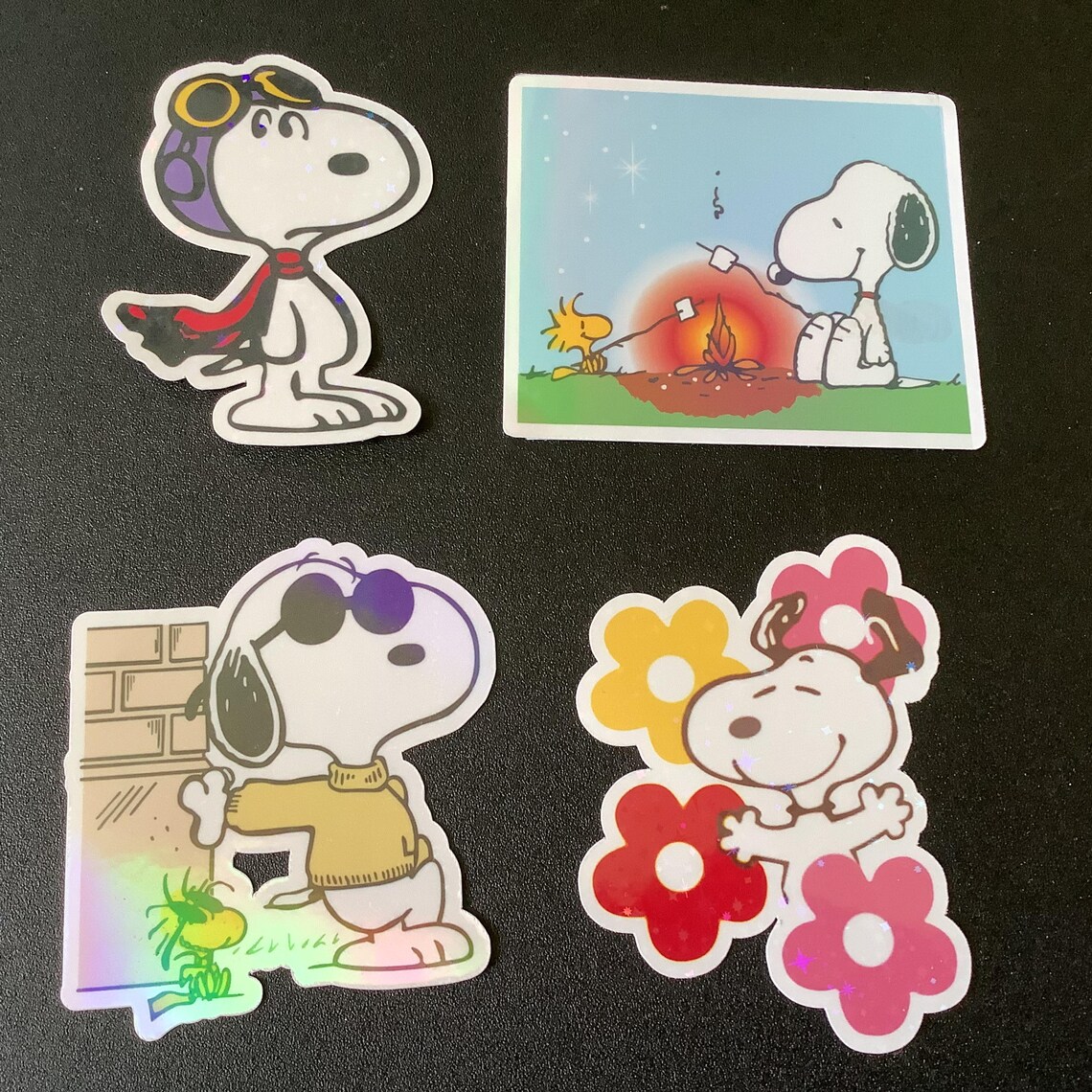Charlie Brown & Peanuts Gang 12 Piece Set of Holographic Stickers - Etsy