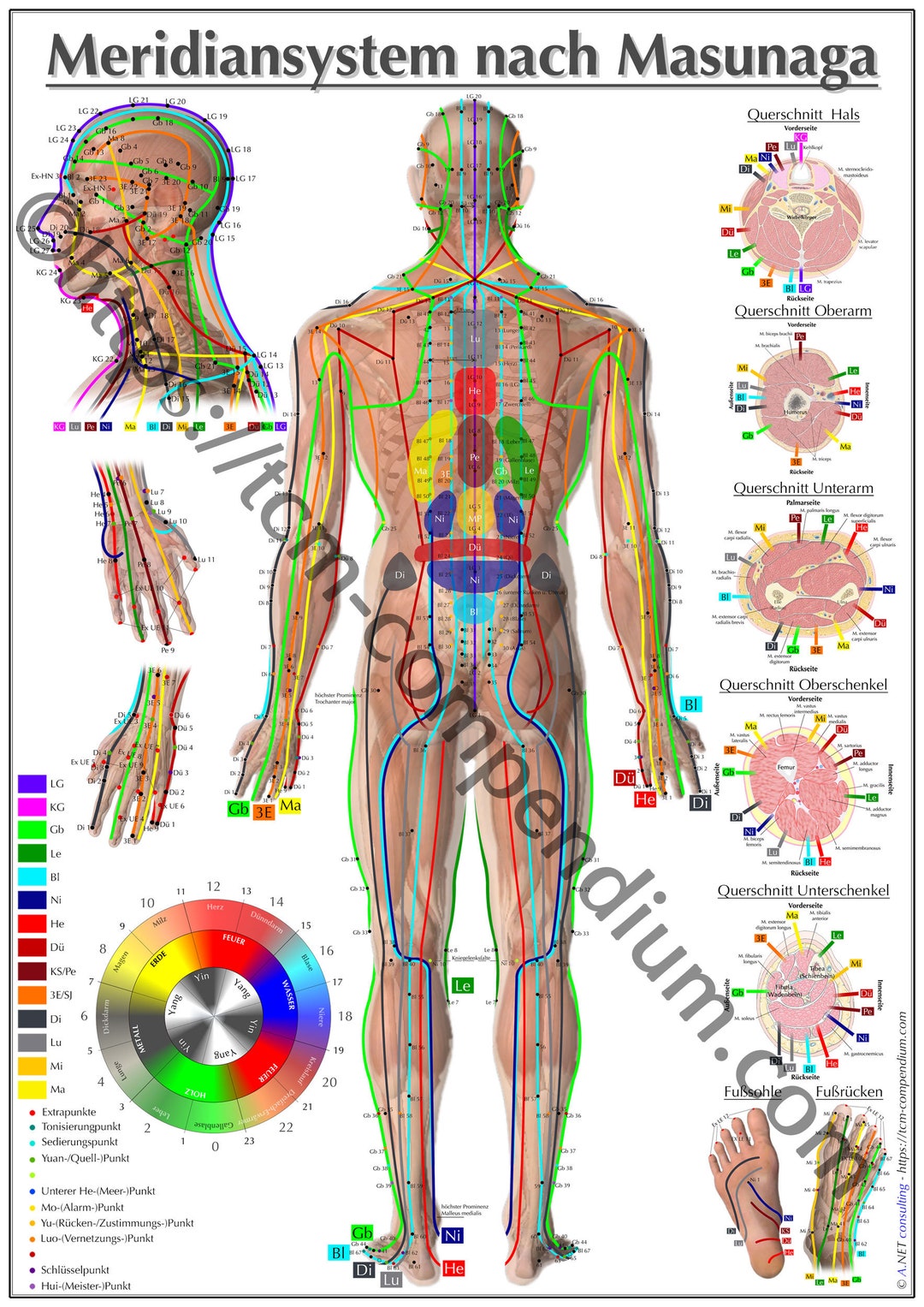 Shiatsu Poster Back DIN A4 as Download - Etsy