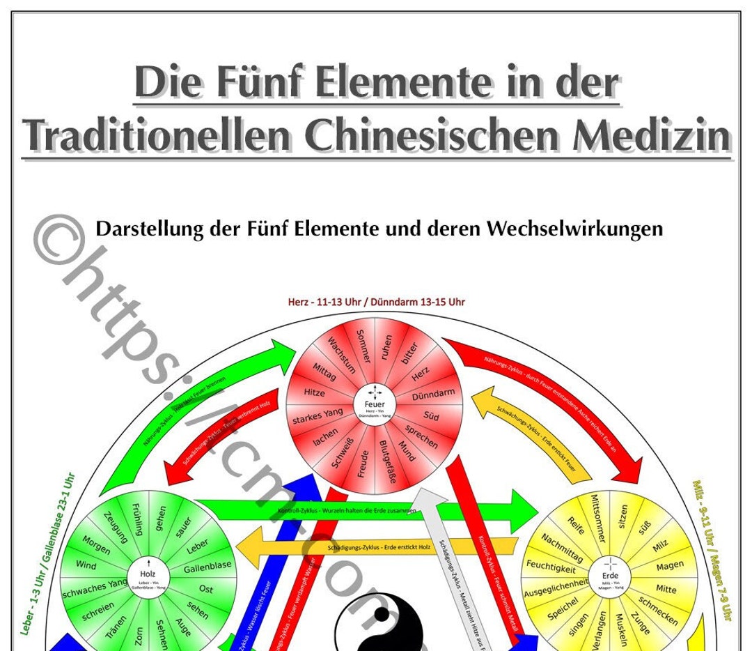 TCM Poster 5 Elements and Their Interactions DIN A1 as Download - Etsy