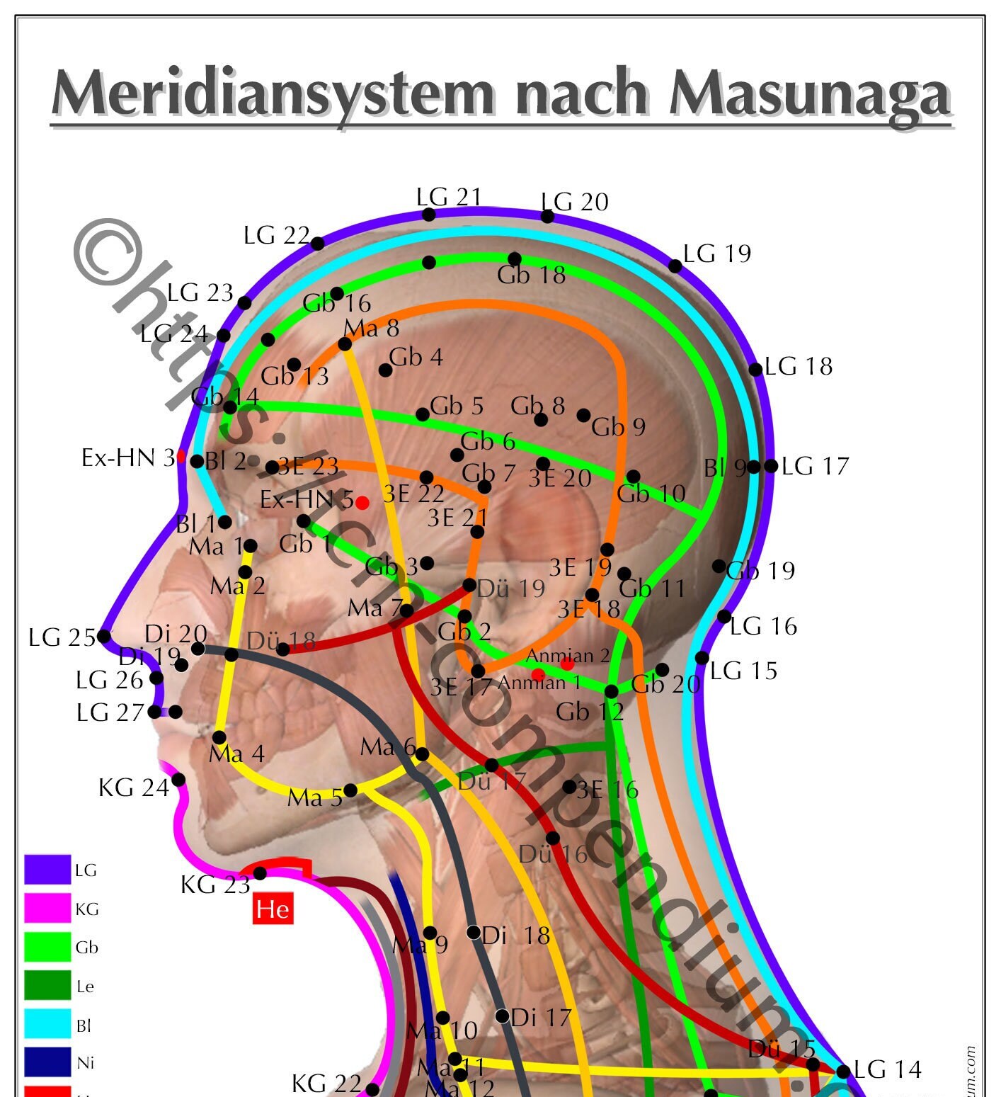 Shiatsu Poster Head DIN A2 as Download - Etsy