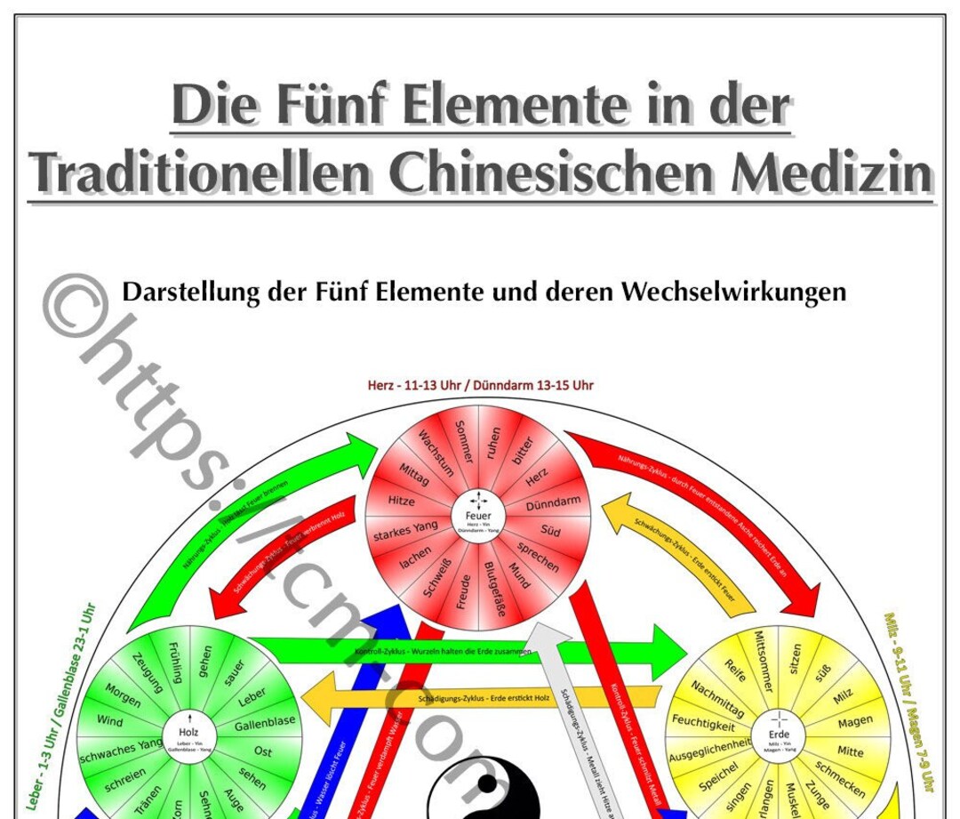 TCM Poster 5 Elements and Their Interactions DIN A2 as Download - Etsy