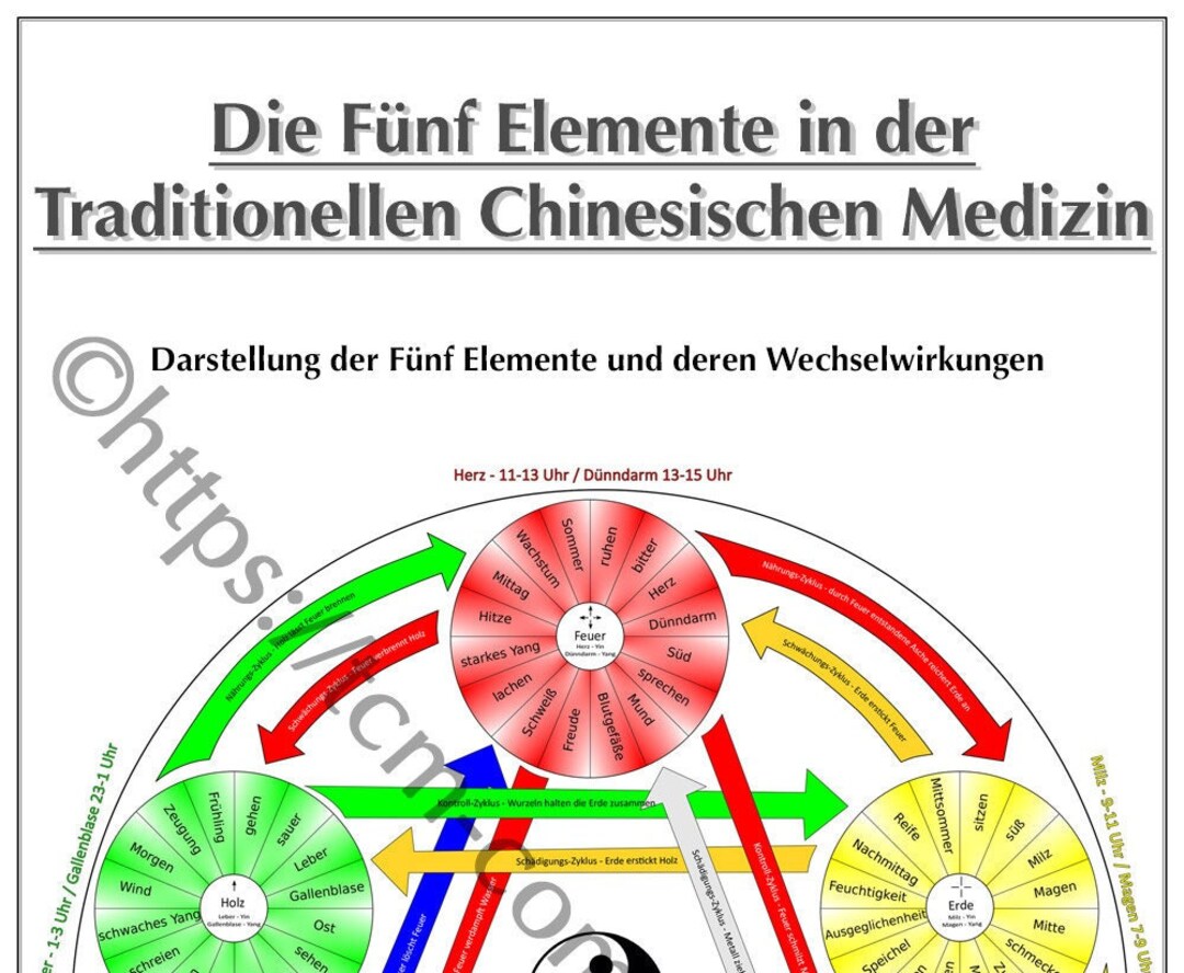 TCM Poster 5 Elements and Their Interactions DIN A0 as Download - Etsy