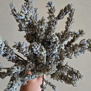Dried Lavender Flowers Bouquet, DIY Flowers, Dried Lavender , Dried ...