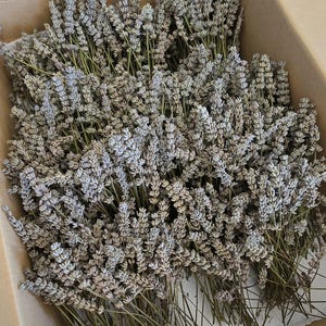 Dried Lavender Flowers Bouquet, DIY Flowers, Dried Lavender , Dried ...