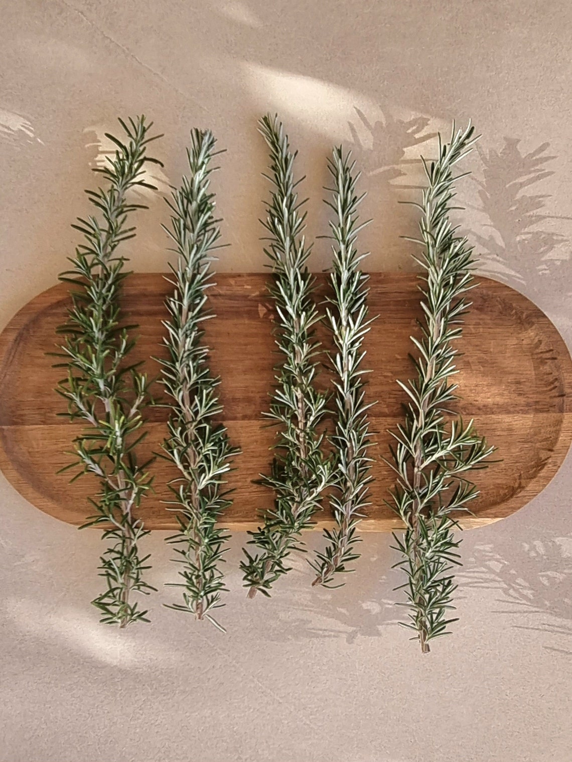 Organic ROSEMARY SPRINGS 5 Piece Set - Etsy