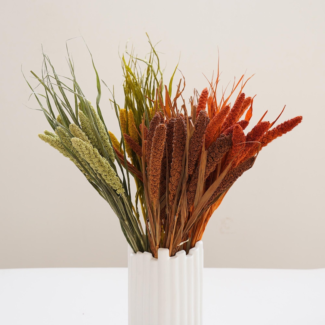 Foxtail Millet Grass,dried Flowers Bouquet,dried Flowers,bouquet ...
