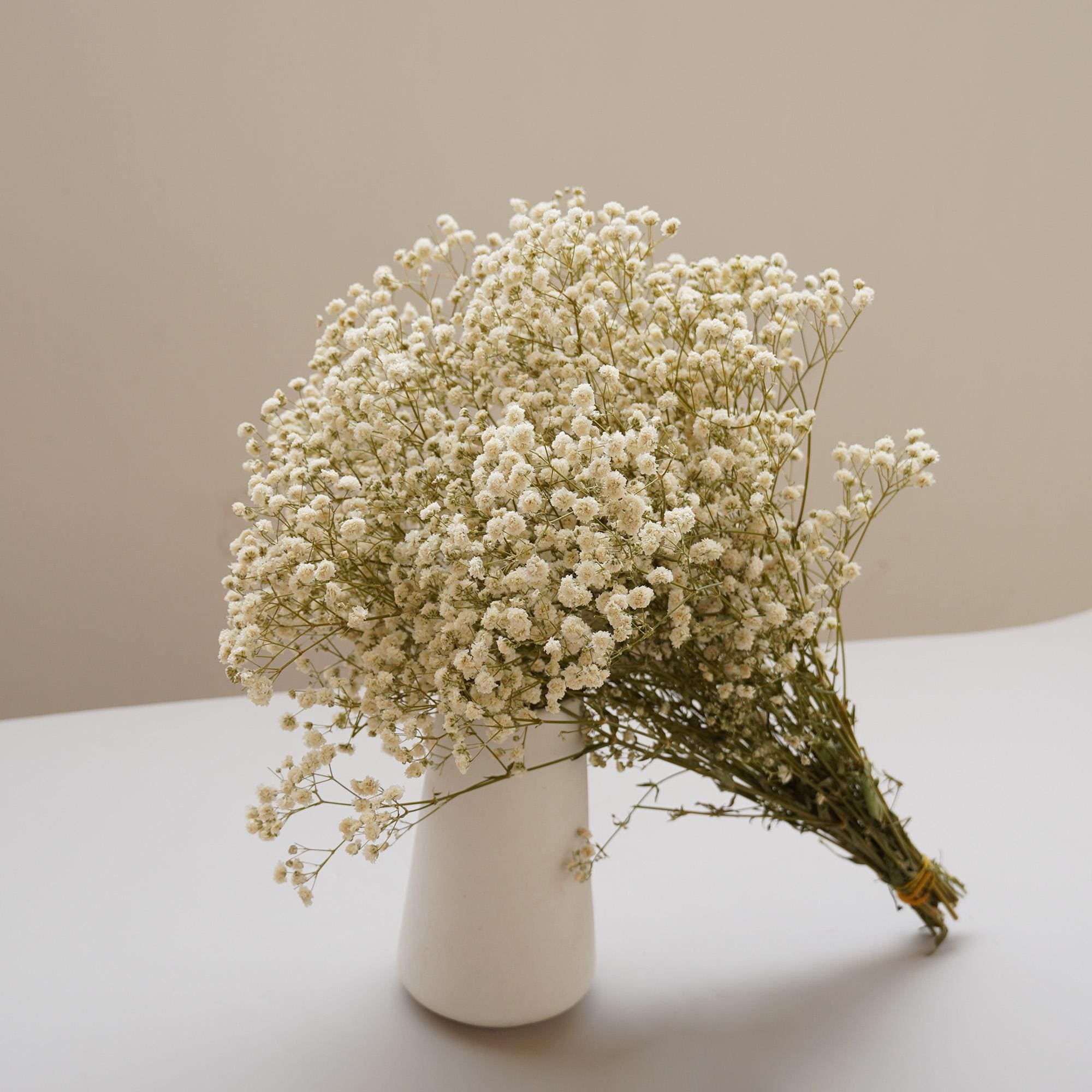 Natural Baby's Breath Preserved Flowers, Bouquet Decoration, Deried ...