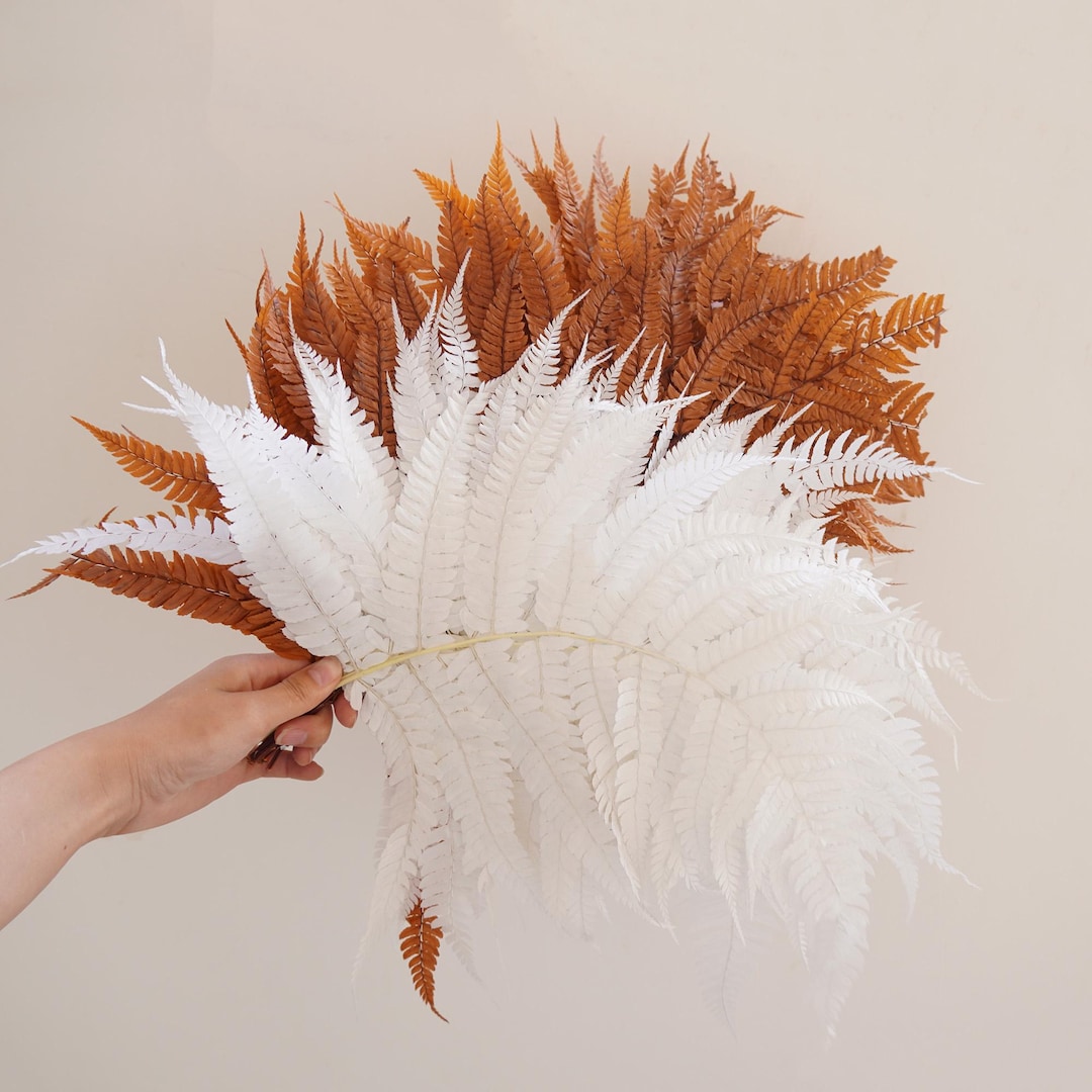 Preserved Fern,preserved Fern Leaf,bouquet Decoration,wedding ...