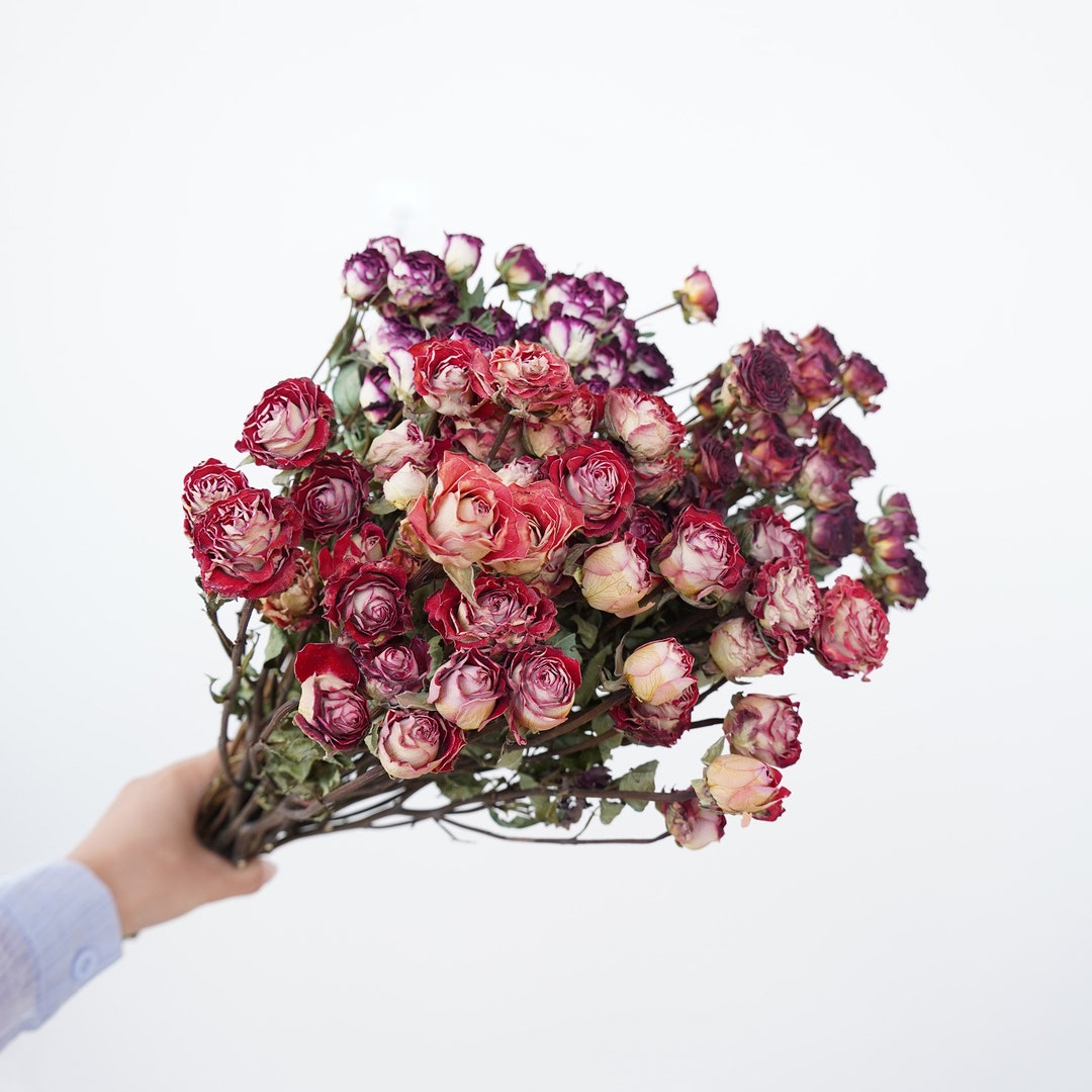 Dried Rose Bud Bundle/ Natural Bouquet Decoration, DIY Craft Supply - Etsy