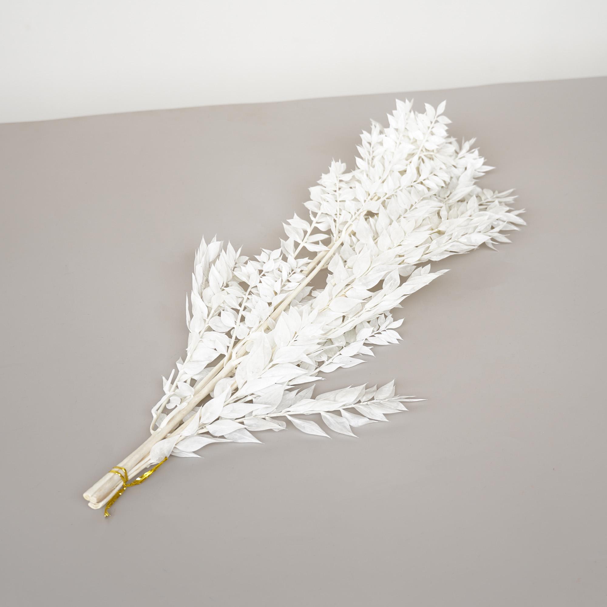 Premium Italian White Ruscus,preserved Flowers,bouquet Decoration ...
