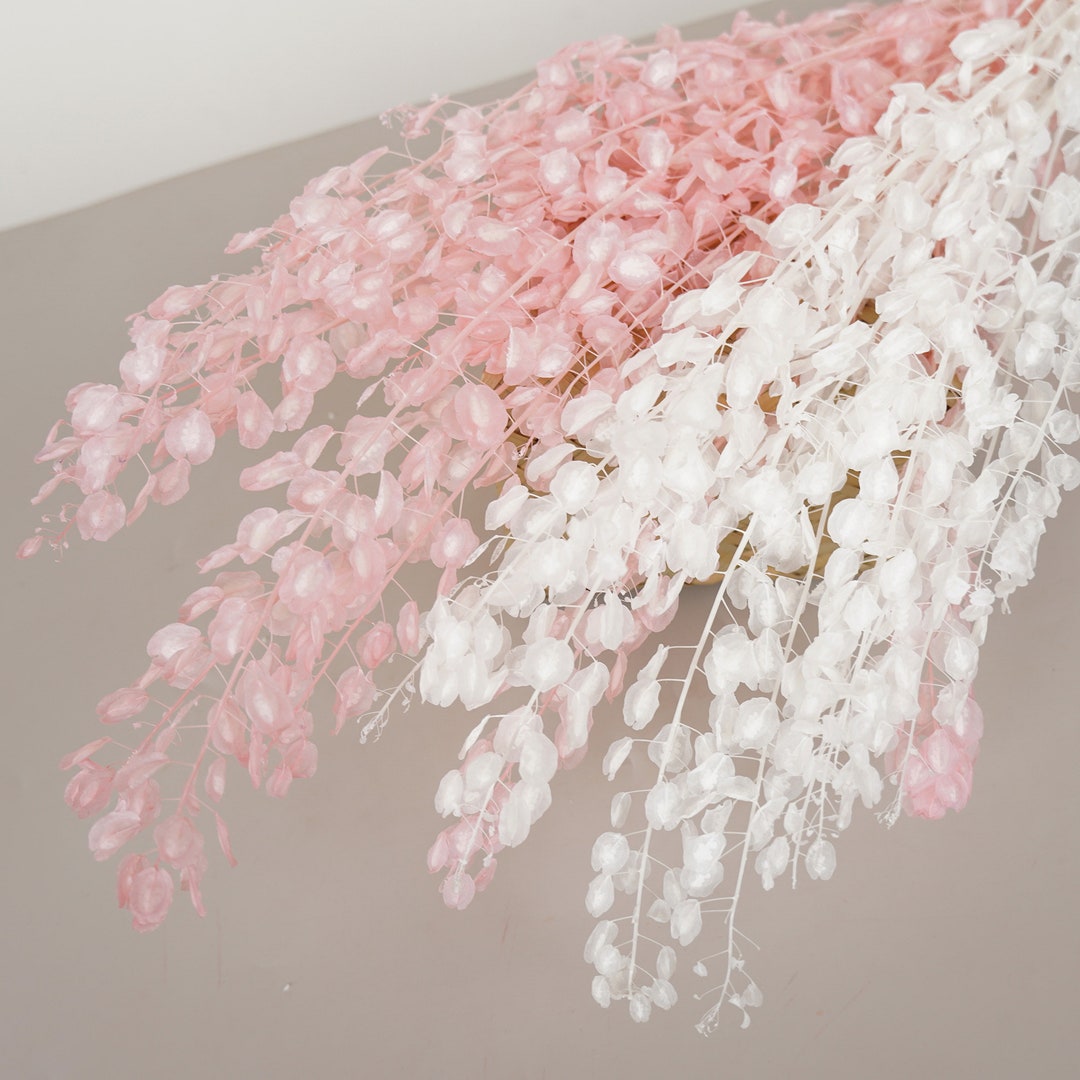 Lunaria Branches,silver Dollar,bouquet Decoration, Ornaments, Natural ...