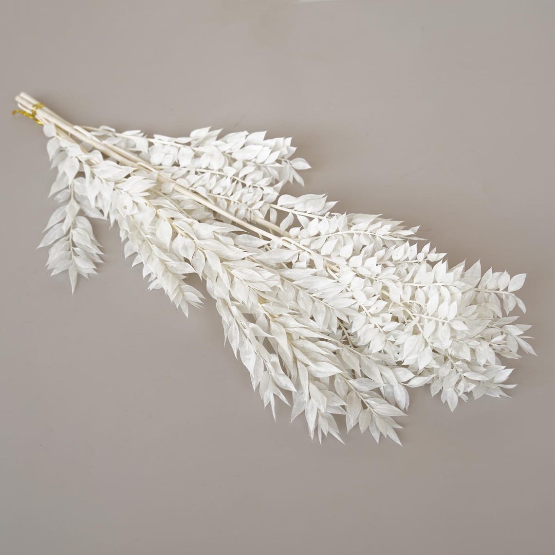 Premium Italian White Ruscus,preserved Flowers,bouquet Decoration ...
