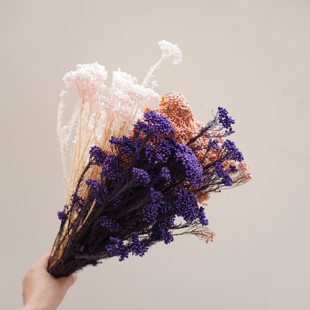 Preserved Rice Flowers ,dried Flowers Bouquet,diy Craft Supply，home ...