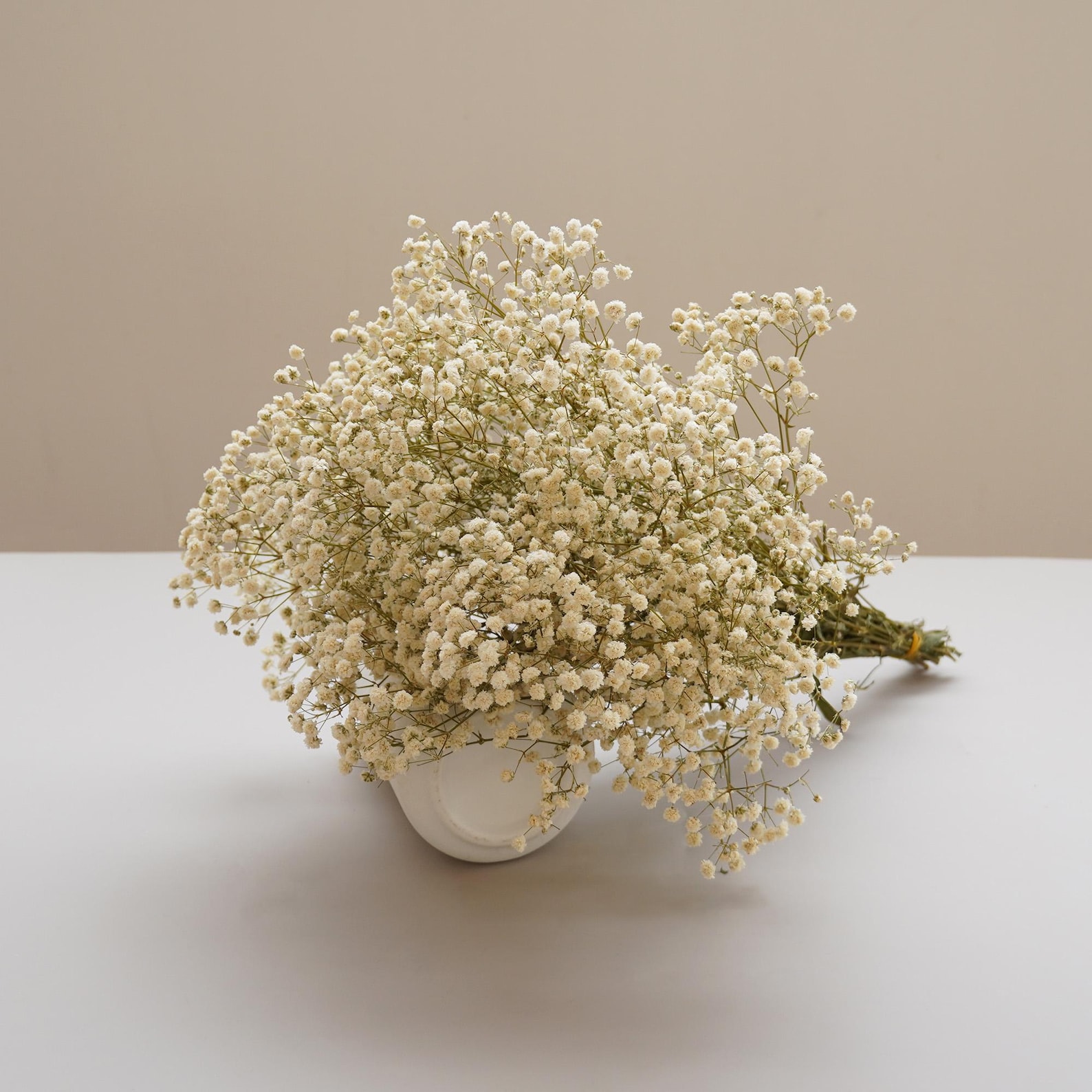 Natural Baby's Breath Preserved Flowers, Bouquet Decoration, Deried ...