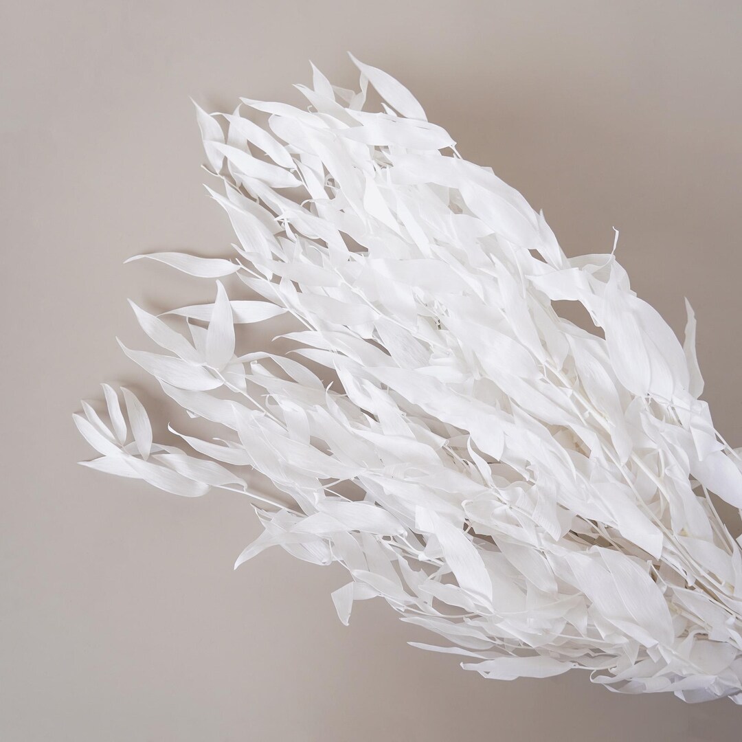 Preserved Parvafolia Eucalyptus, Eucalyptus for Bouquet,dried Flowers ...