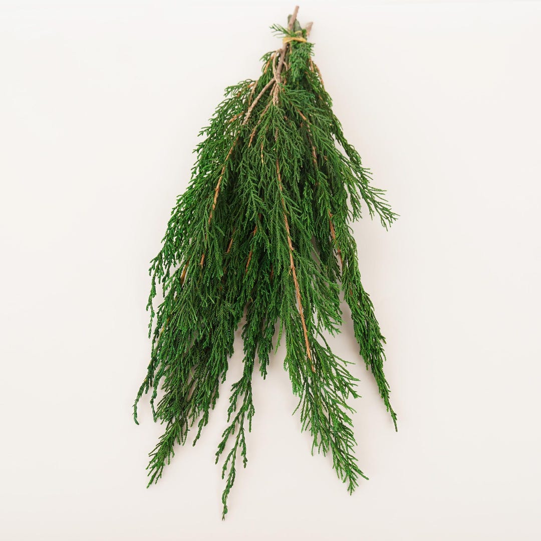 Dried Natural Pine Branches,preserved Pine Branches,dried Flowers,diy ...