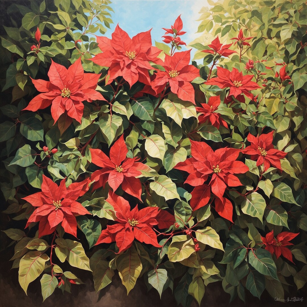 Pointsettia Blooms Waterproof Vinyl Fabric Canvas HD Print, Wall Home ...