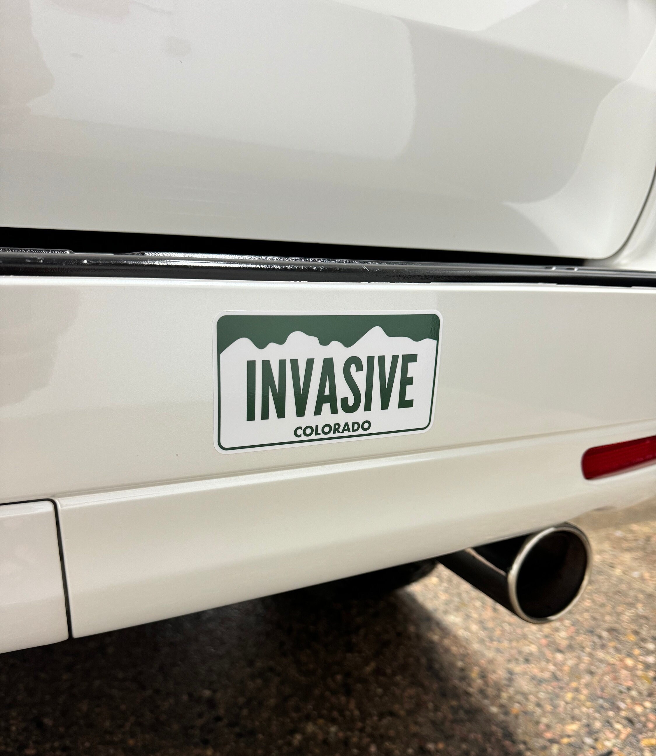 INVASIVE (colorado) - Sticker Decal - Etsy