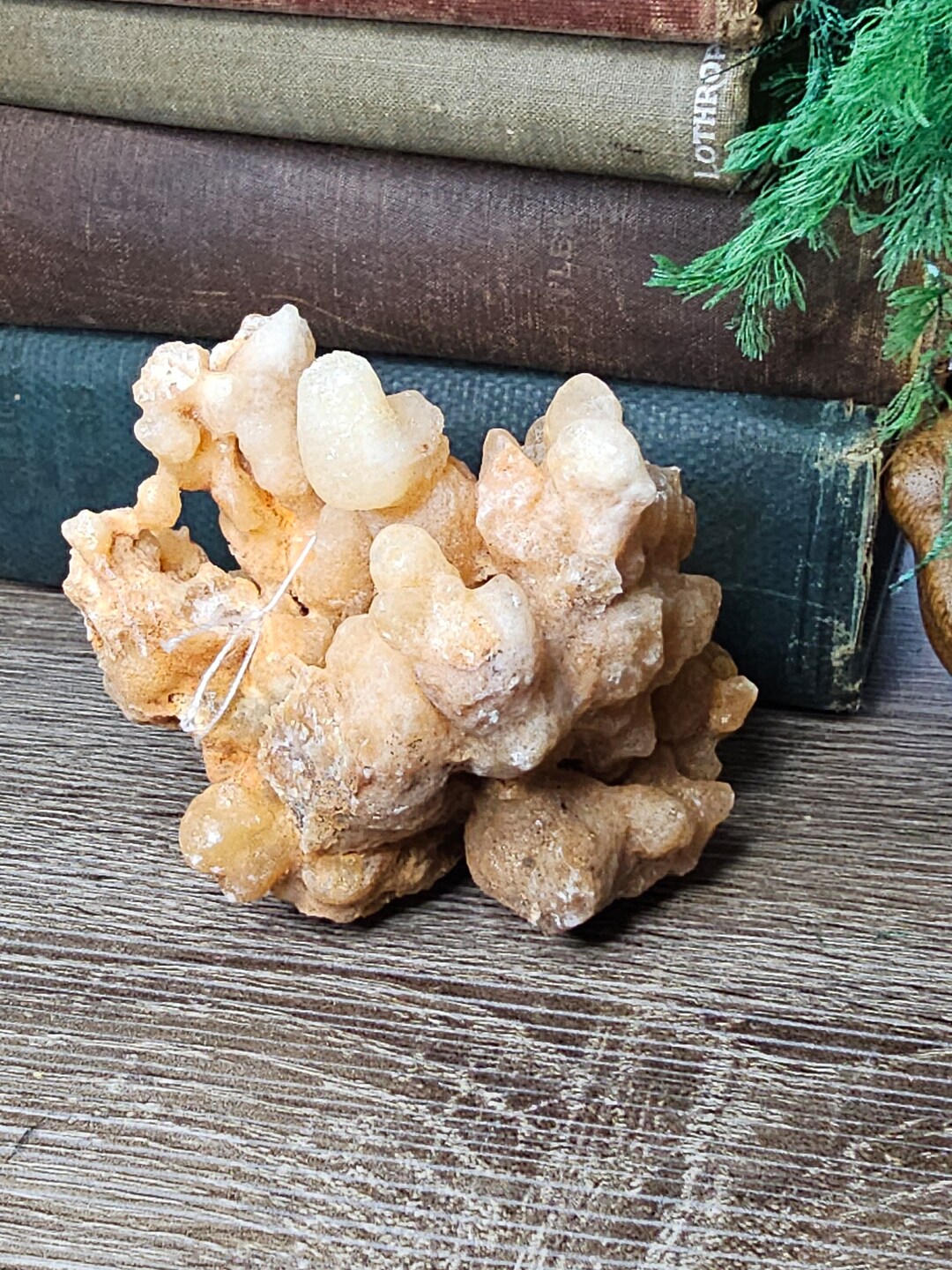 Moroccan Cauliflower Calcite - Etsy