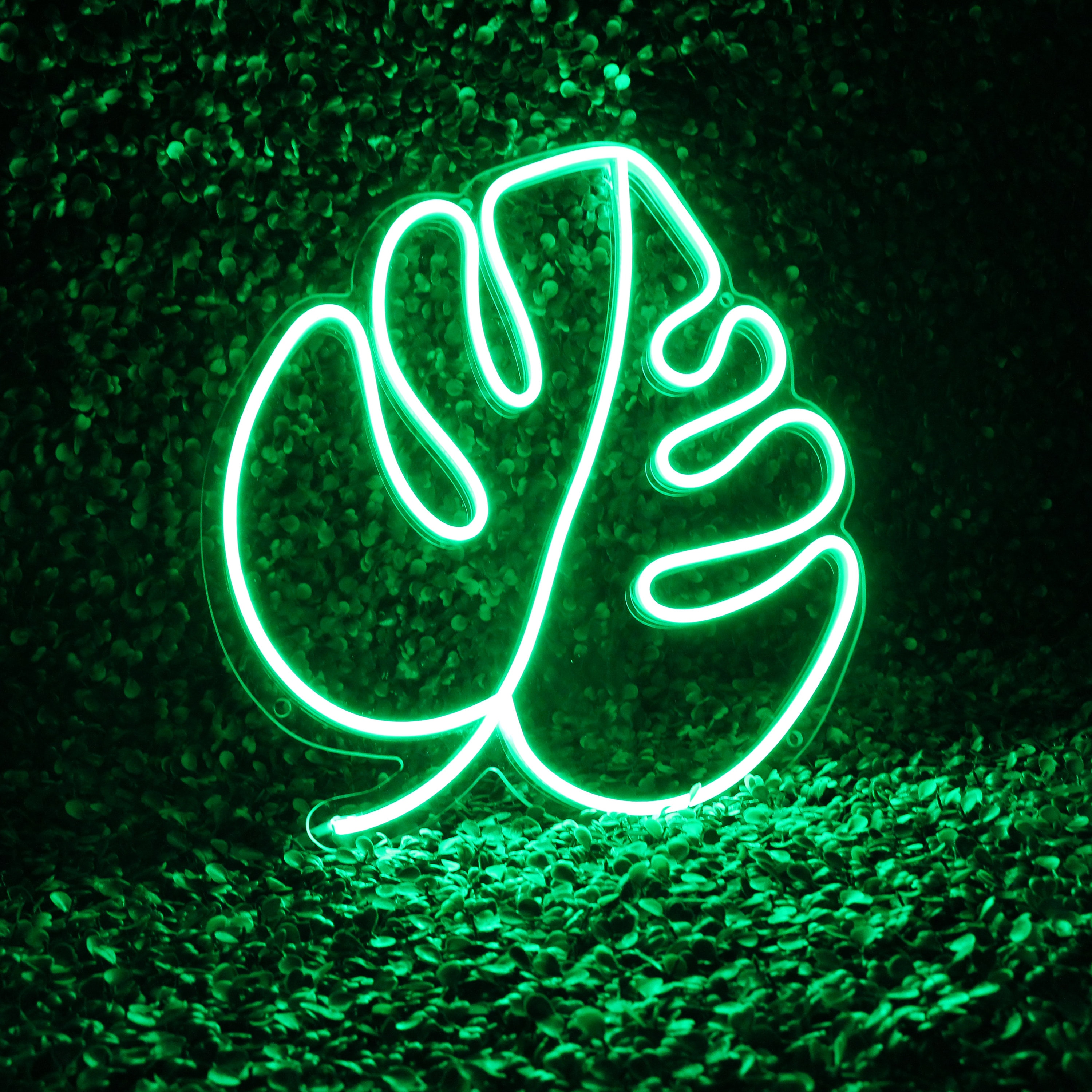 Monstera Leaf LED Neon Sign, Nature Living Room Neon, Neon Light, Neon ...