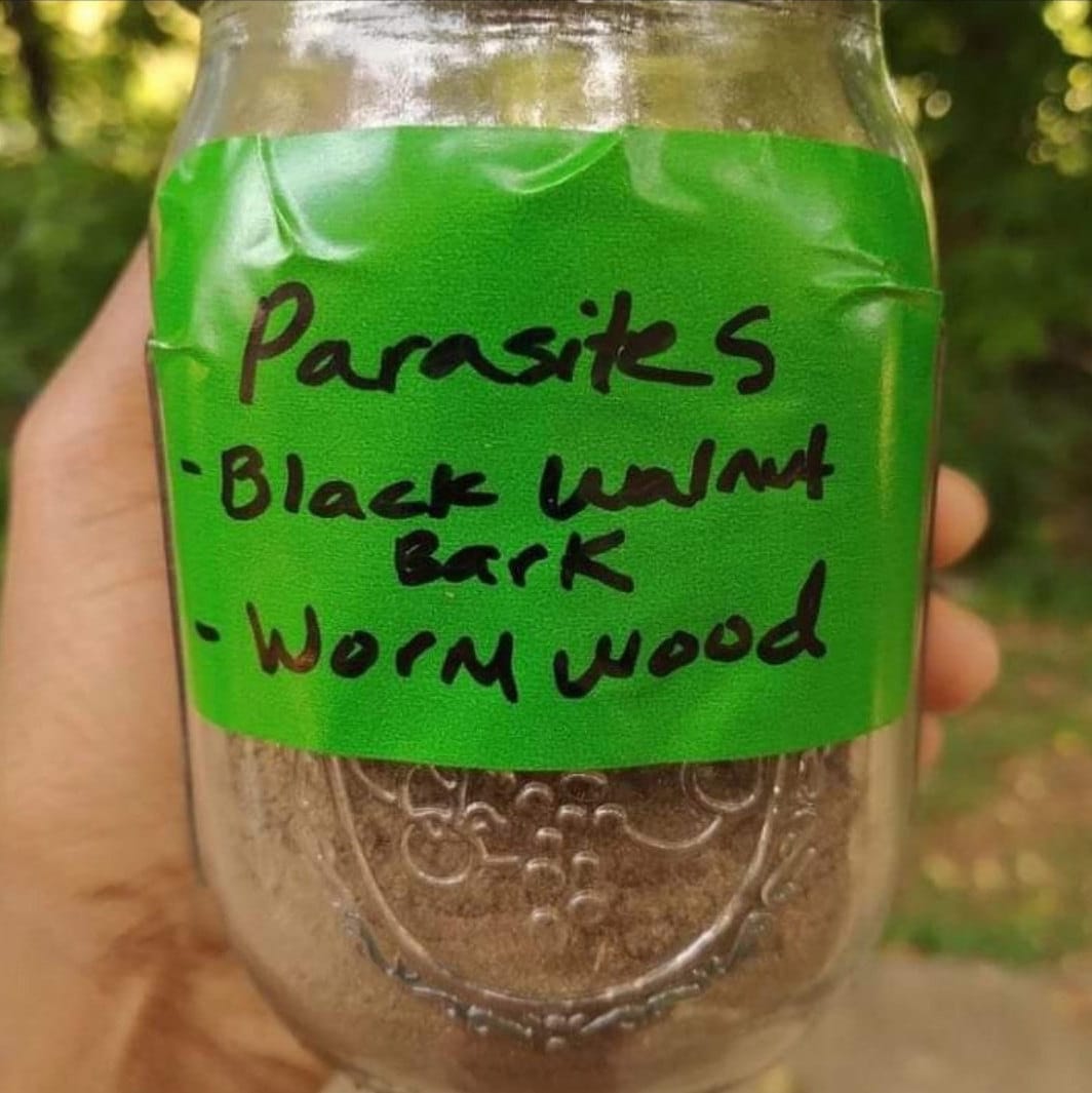 360 Parasite Destroyer 100 Capsules - Etsy