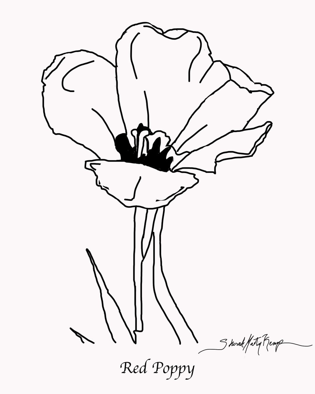 Printable Poppy Flower Coloring Page Based on Original Art by Sherah ...