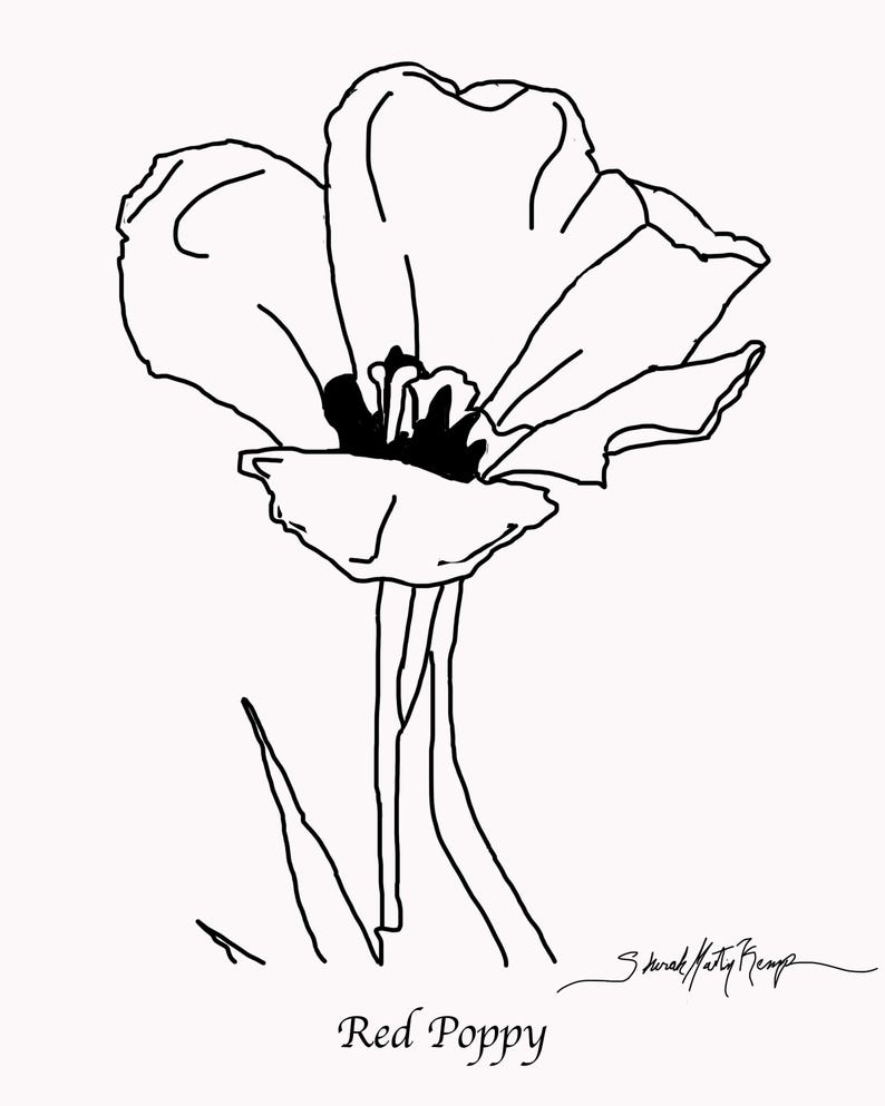 Printable Poppy Flower Coloring Page Based on Original Art by Sherah ...