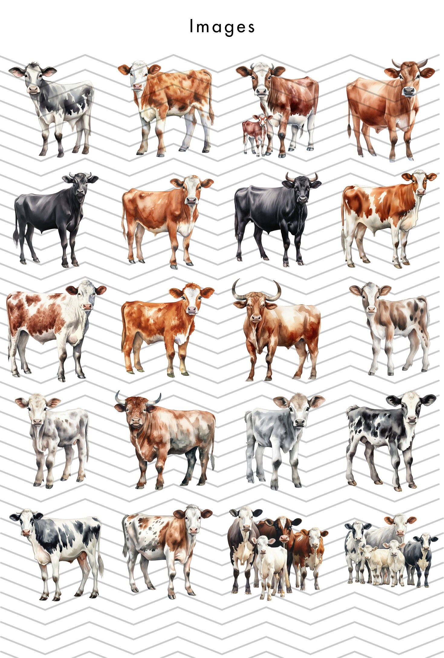 20 Cow, Calf, & Bull Clip Art Set: Illustrated Cartoon Cow Drawings ...