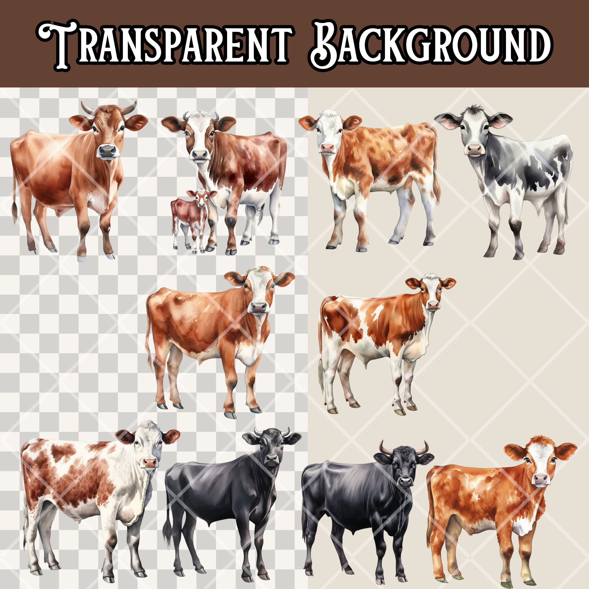 20 Cow, Calf, & Bull Clip Art Set: Illustrated Cartoon Cow Drawings ...