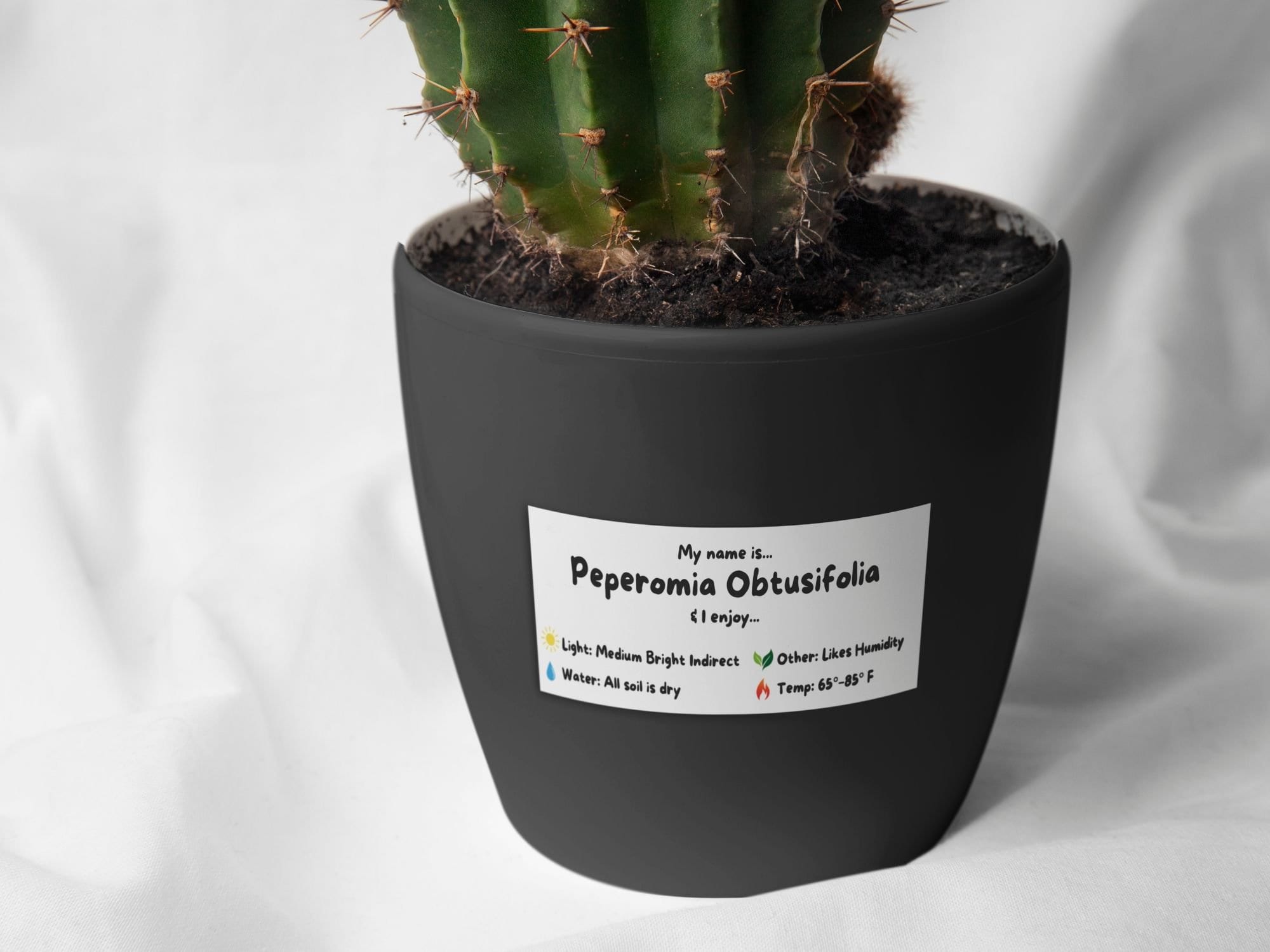 Customizable Plant Care Labels Canva Template Editable House - Etsy