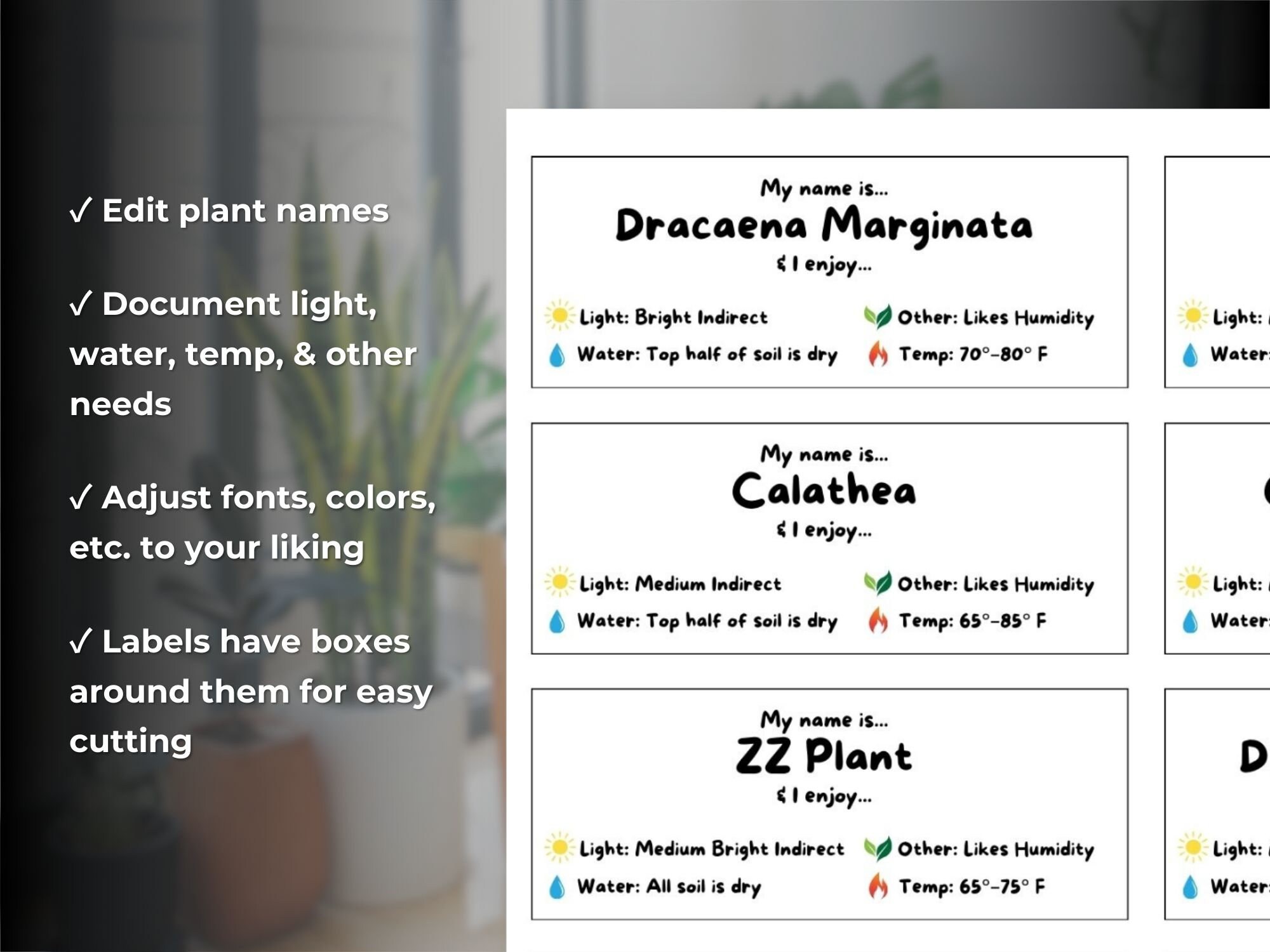 Customizable Plant Care Labels Canva Template Editable House - Etsy
