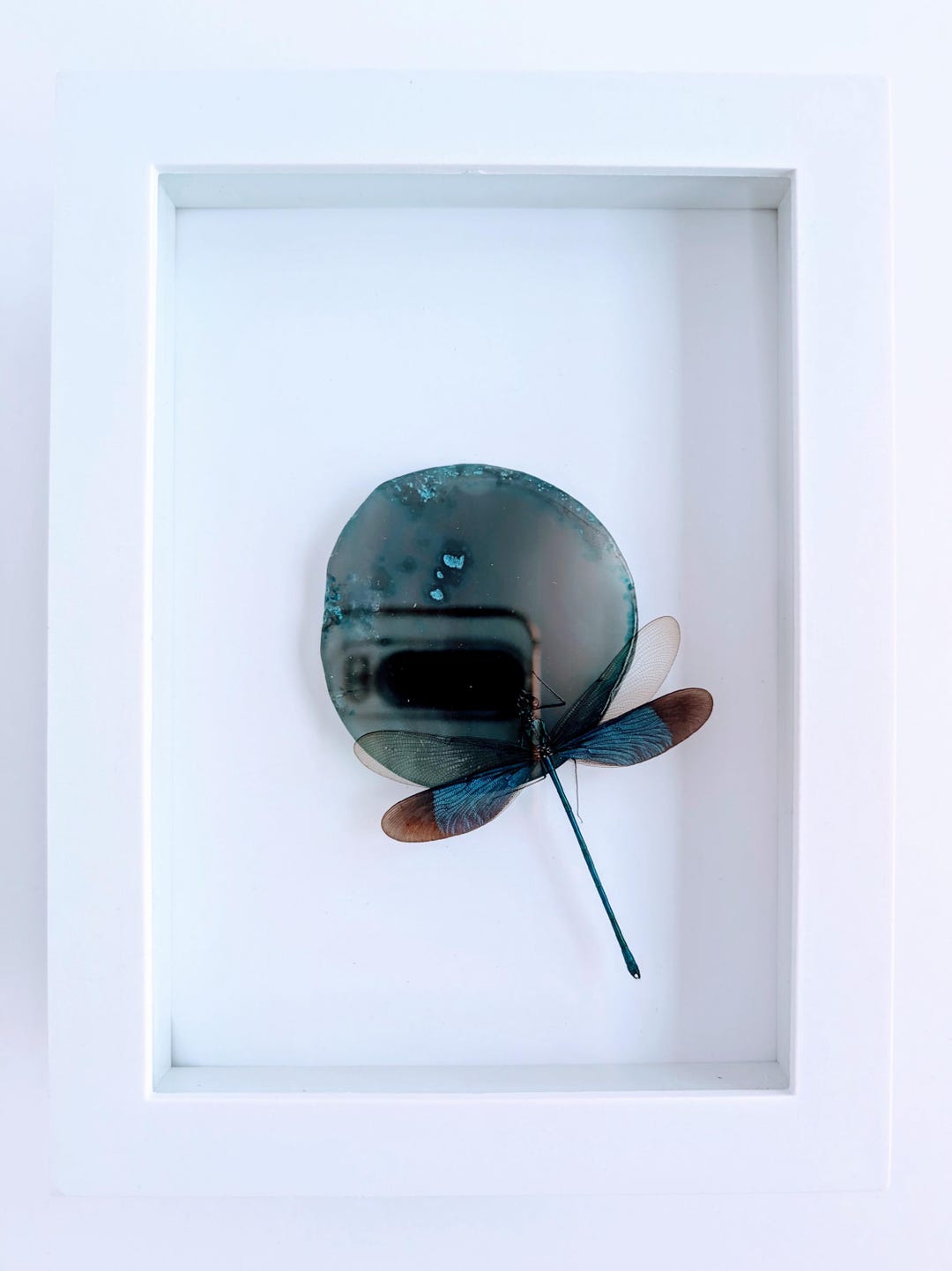 Real Framed Damselfly With Crystal, Neurobasis Chinensis (green ...