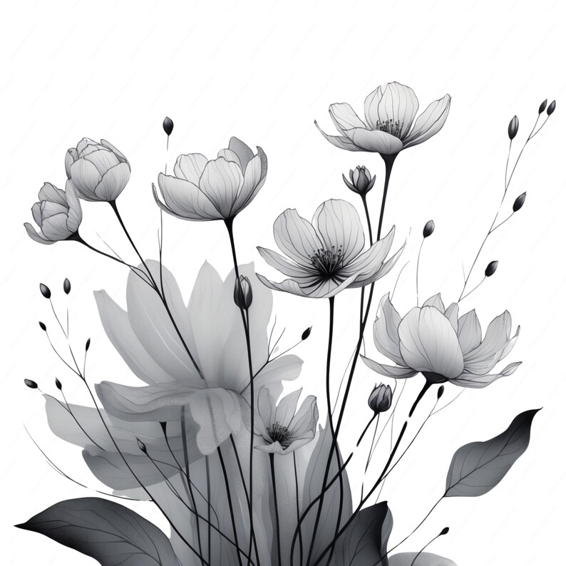 8 Wildflower Watercolor Clipart: Black & White Floral Designs (digital ...